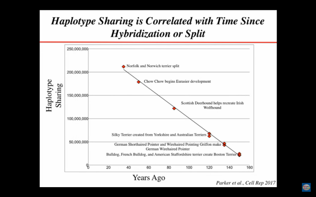 文波PTE Retell Lecture练习－Catatrophic World Events | 文波英语